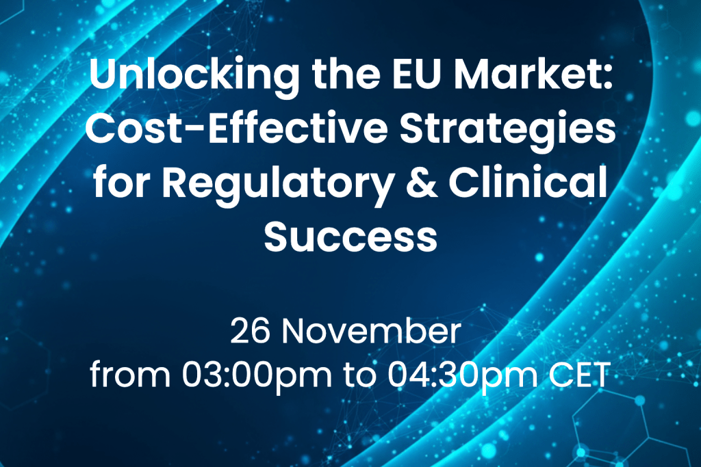 26 November 2025 – Unlocking the EU Market: Cost-Effective Strategies ...